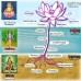 La Triguna | Sukha Centro de Ayurveda